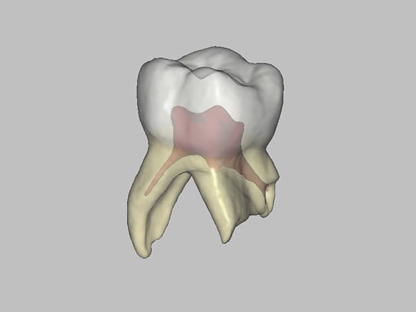 Product - Simodont Dental Trainer